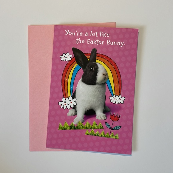 Hallmark | Accessories | Happy Easter Expressions From Hallmark Card ...